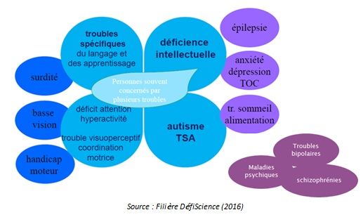 Centre Référence Déficience Intellectuelle de causes rares / Trouble du ...